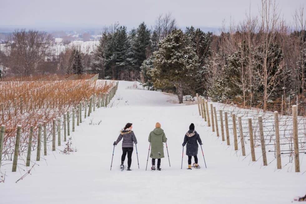 7 Top Things to Do in Winter in Traverse City MI for Couples